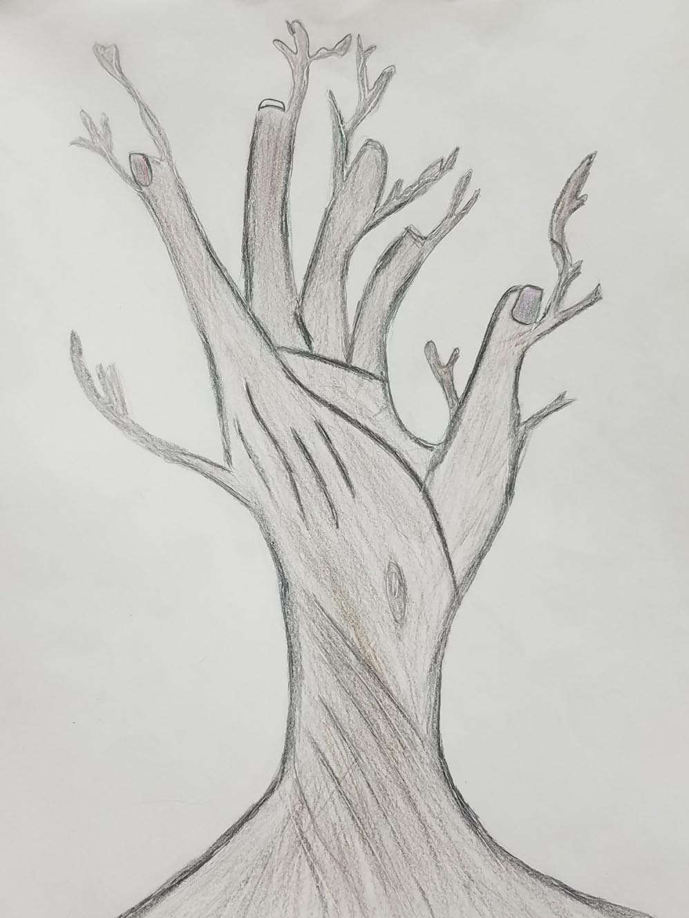 Jerdee's Art Classes: Drawing A | Transformation (1 object into another ...