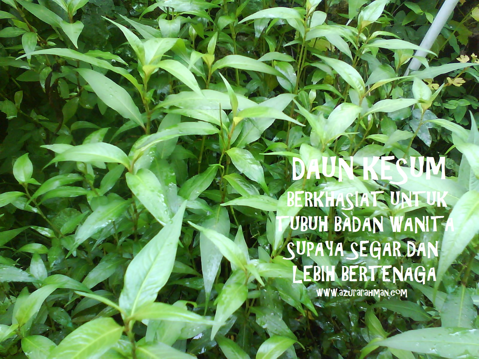 Cerita Kak Z: November 2016