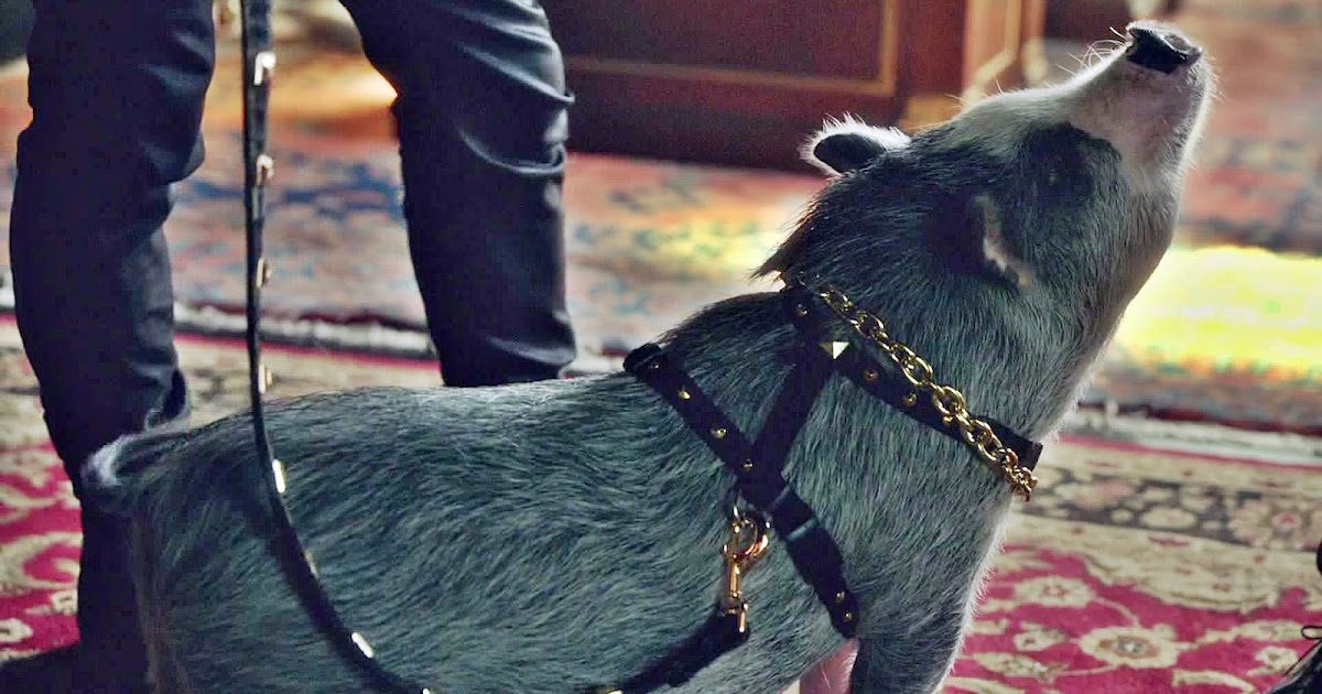 Lucifer Funnies: Pig Diddy