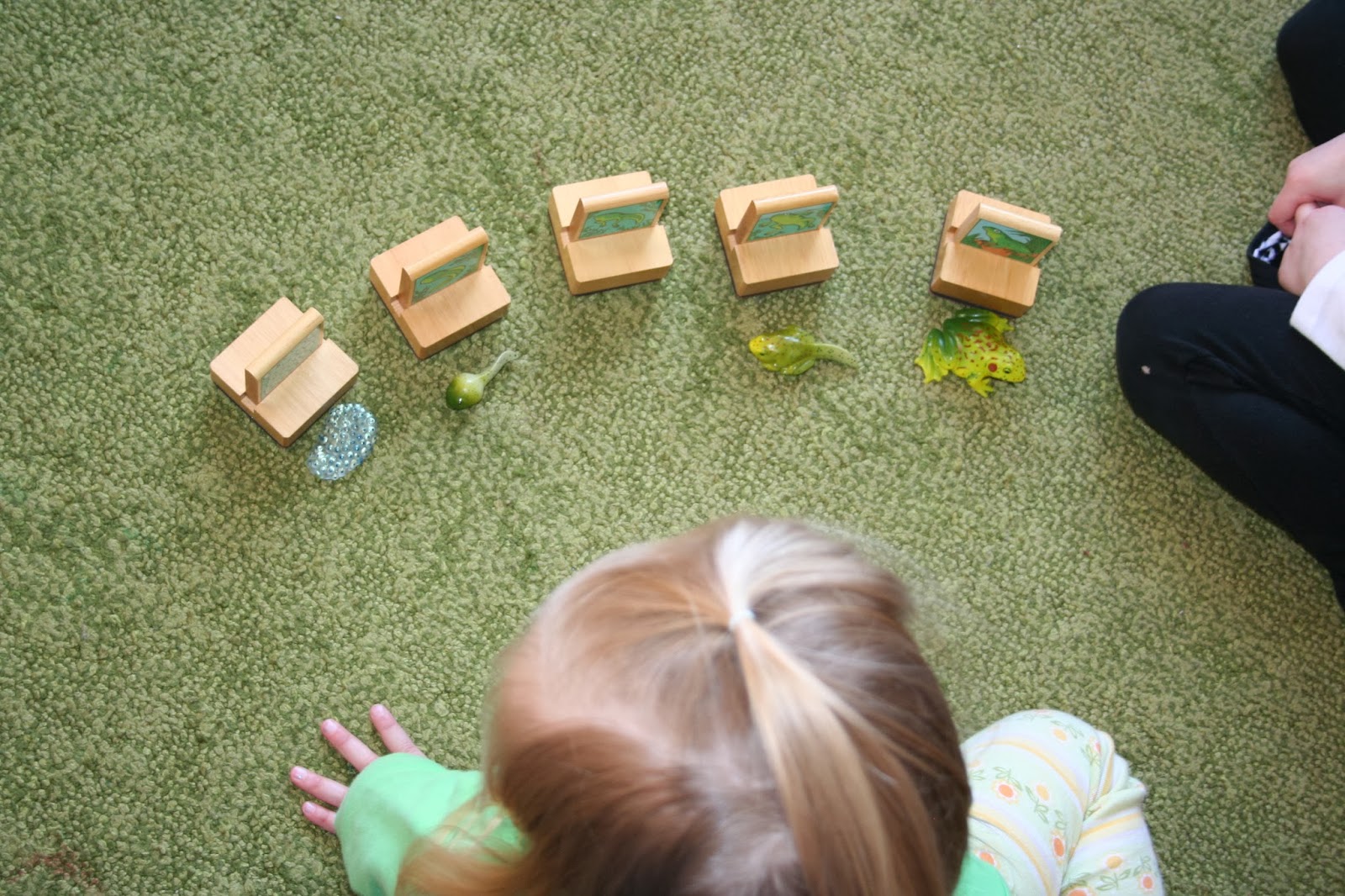 Our Country Road: Montessori Preschool Frog Theme