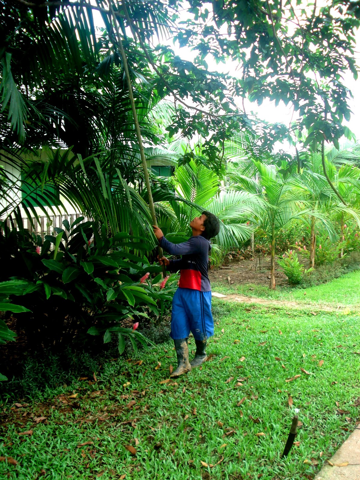 far away home: Cool Shit I Learnt From Tarajo