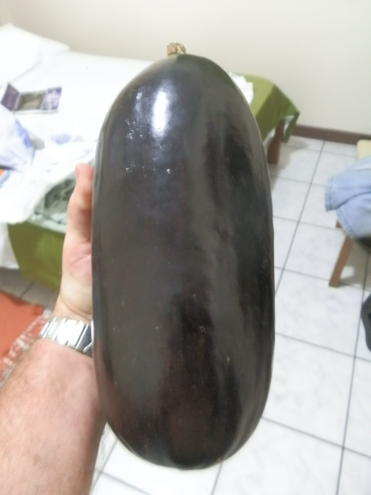 Novidades da Plantamundo: INACREDITÁVEL...18 VARIEDADES DE BANANAS ...