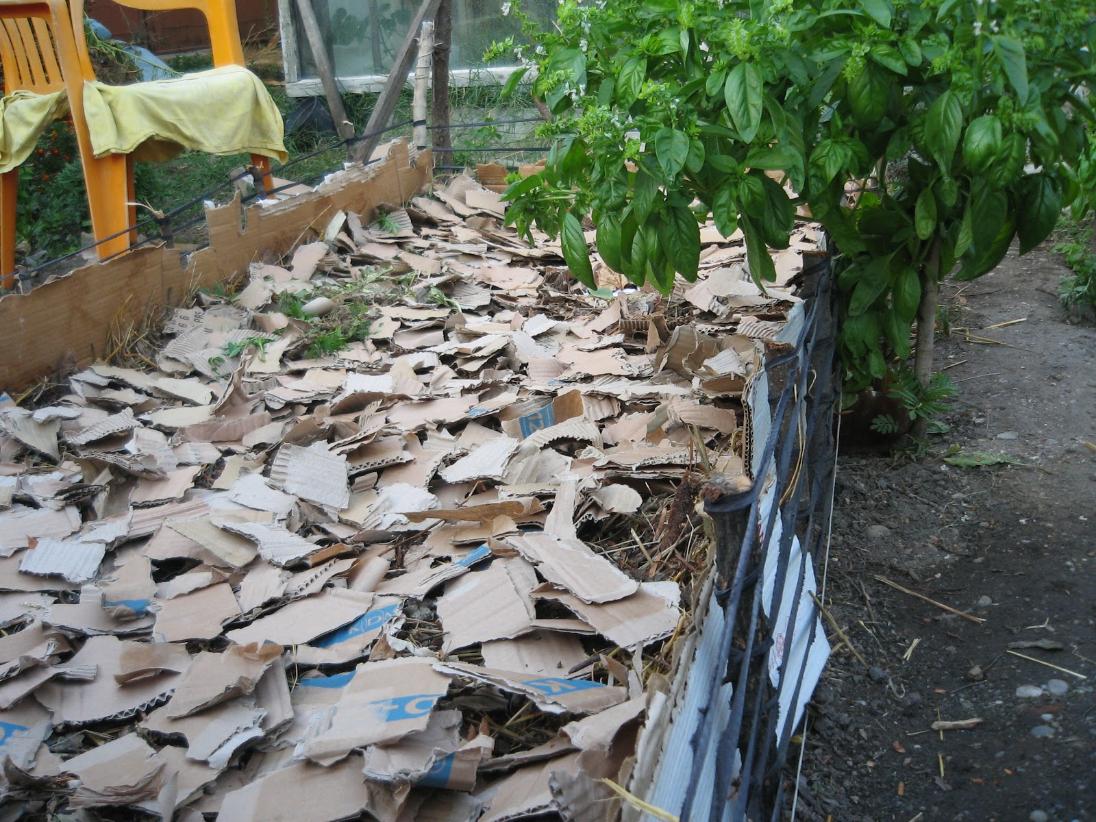 Din gradina,: Gradinarit pe strat inalt