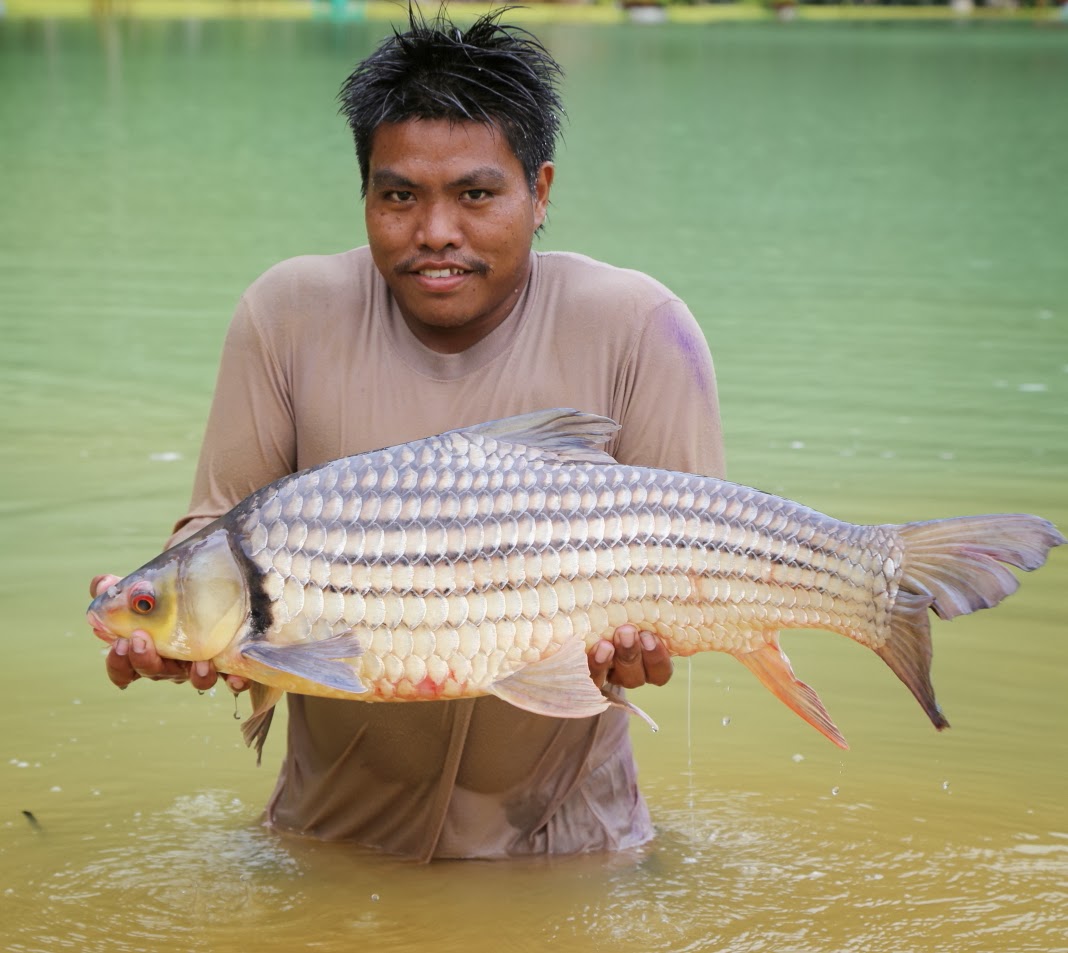 EXOTIC FISHING THAILAND: ONE STOP FISHING FOR A FANTASTIC SELECTION OF ...