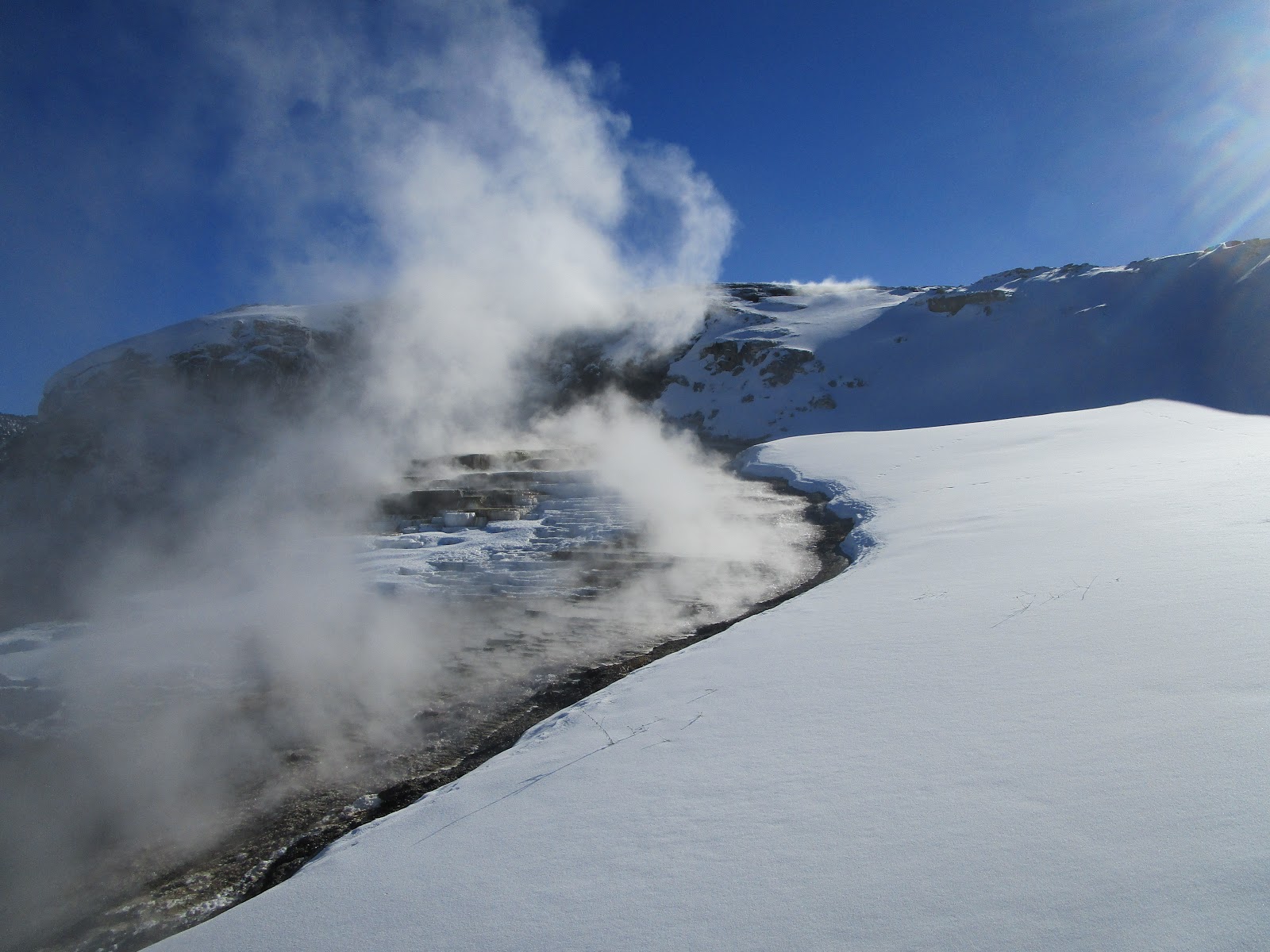 Out there with Tom: Yellowstone, Stemple Pass, Skidway ski area
