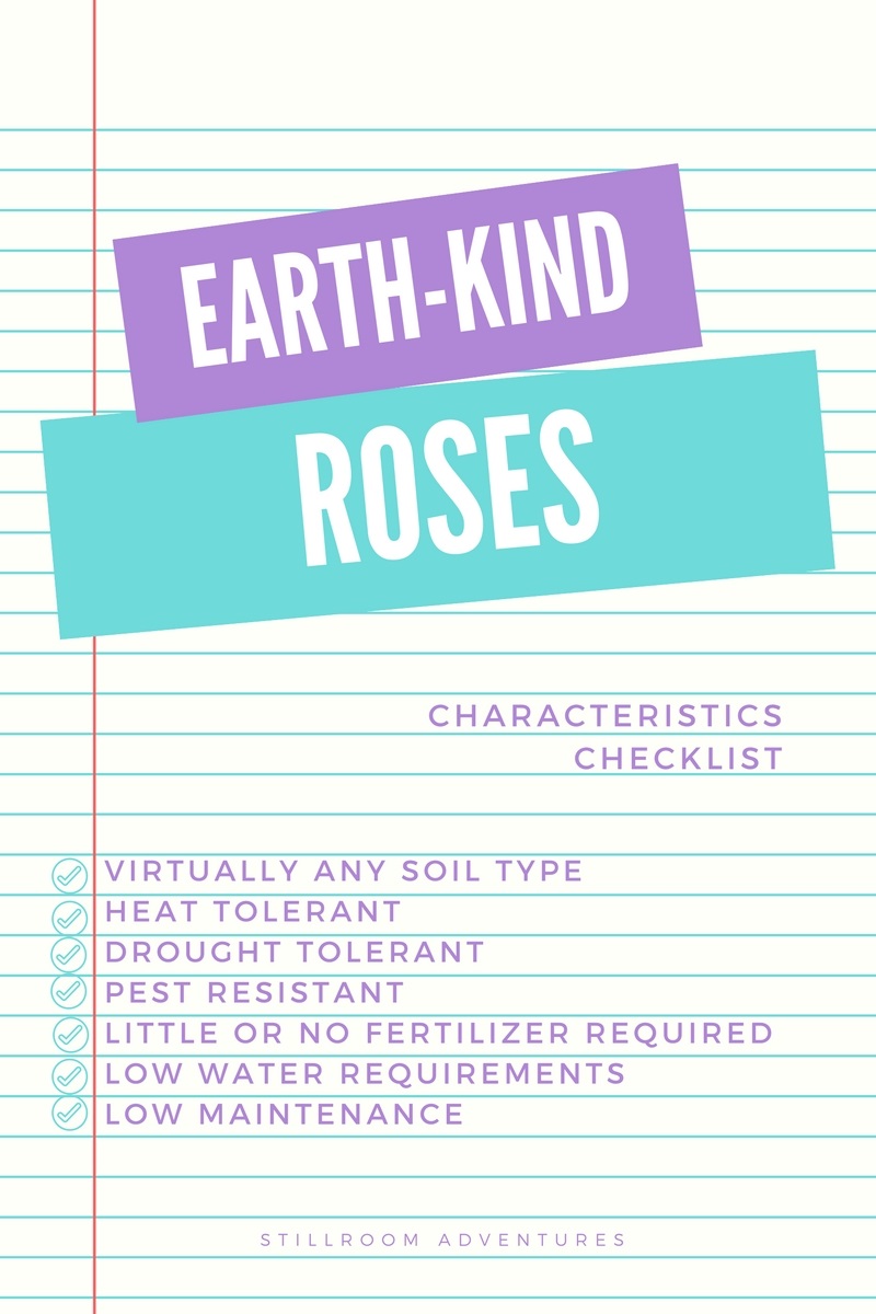 Earth-Kind Roses: An Introduction
