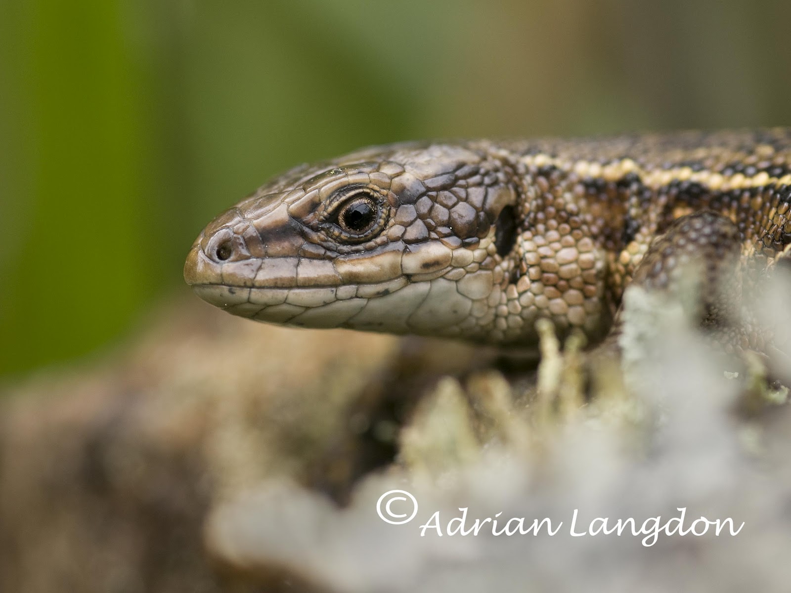 images-naturally!: August 2012