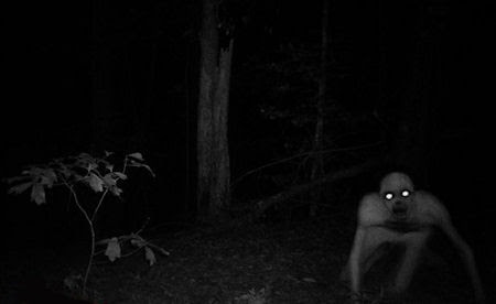 The Presurfer: The 10 Strangest, Most Terrifying Creatures Ever Found