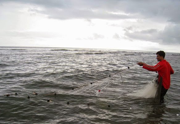 Pukat Ikan - Rumah Belajar Bzet