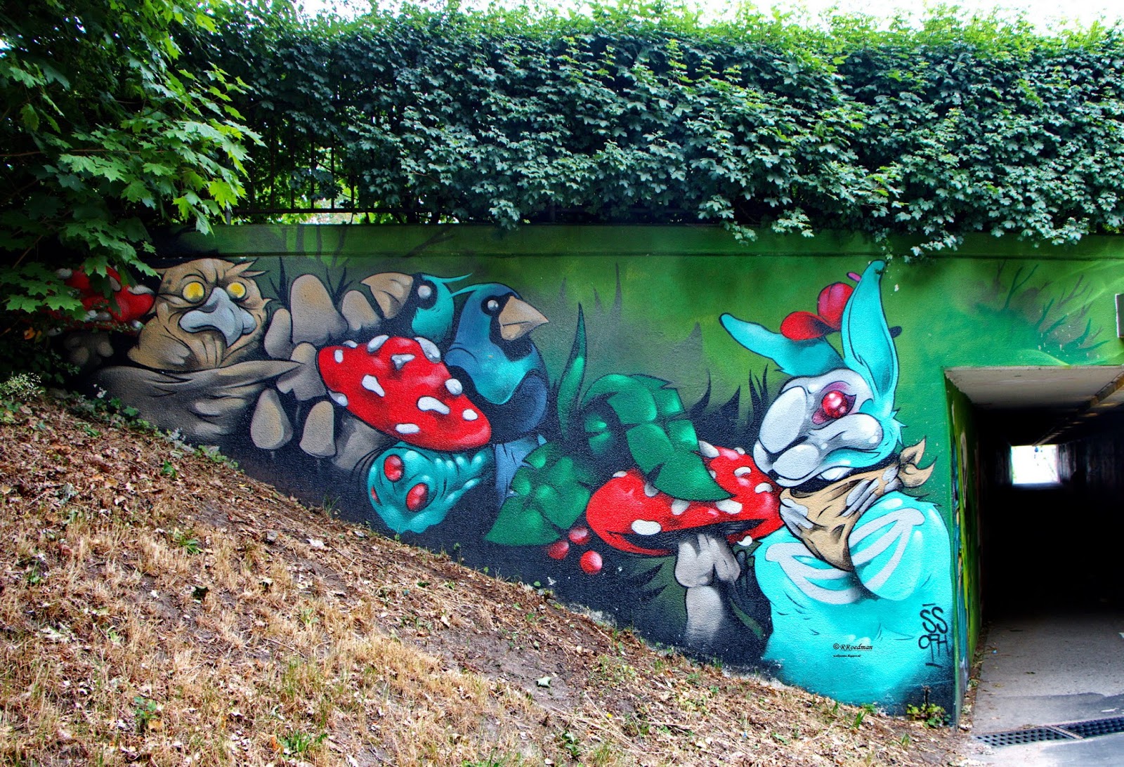 Street Art: Ede - Netherlands