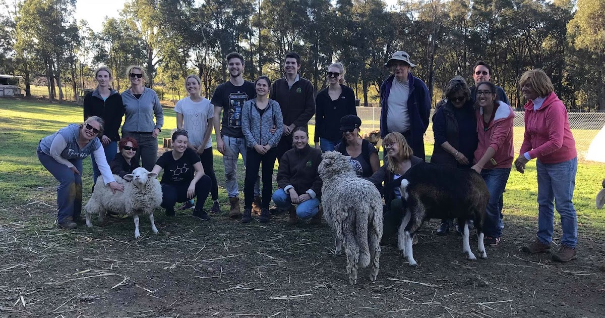 Possum Valley Animal Sanctuary Inc.: Native Arc Visit Possum Valley