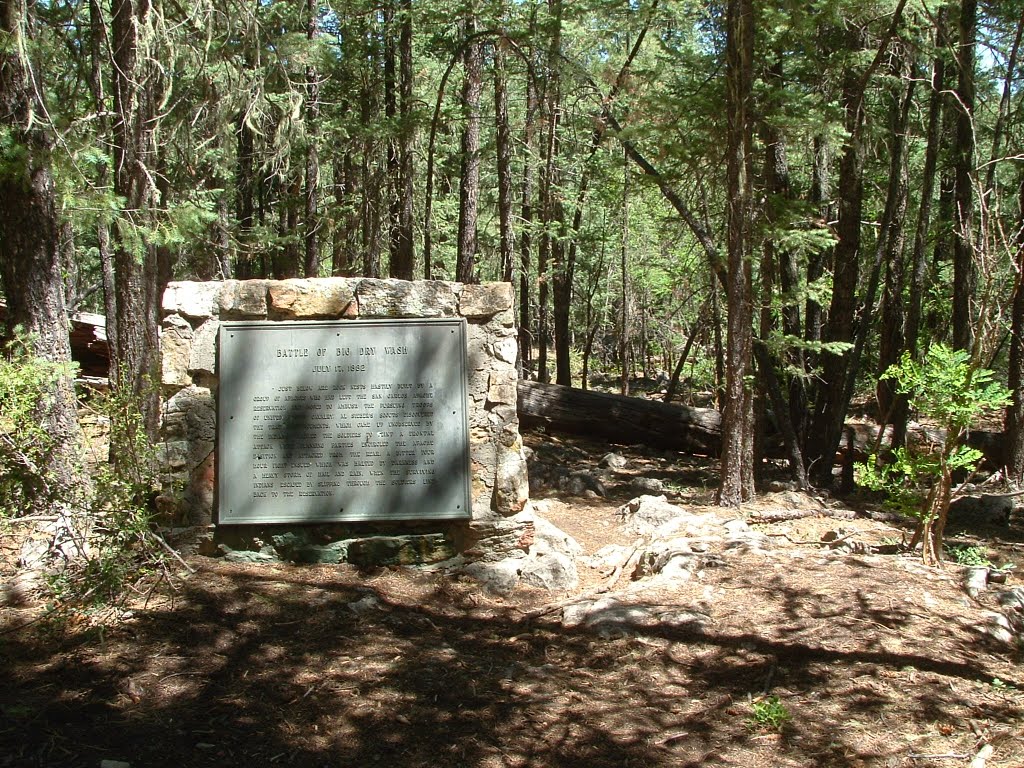 Battle of Big Dry Wash - Virtual Mirage