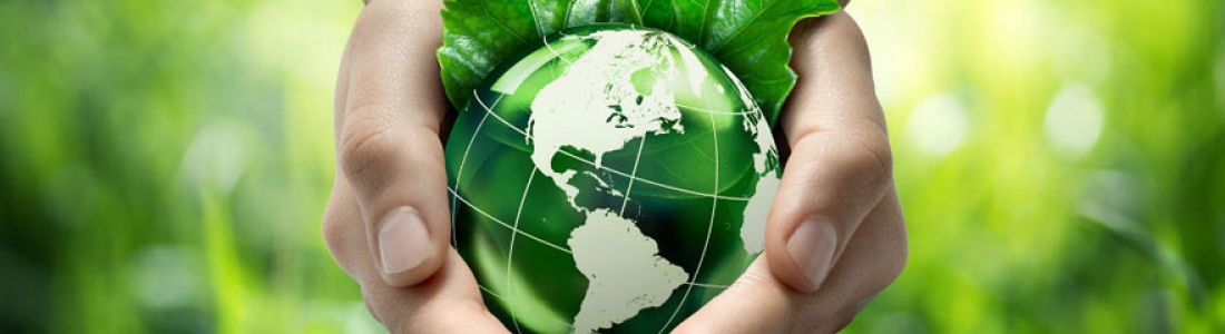 Black Blog: L'écologie politique en quête d'un nouveau récit