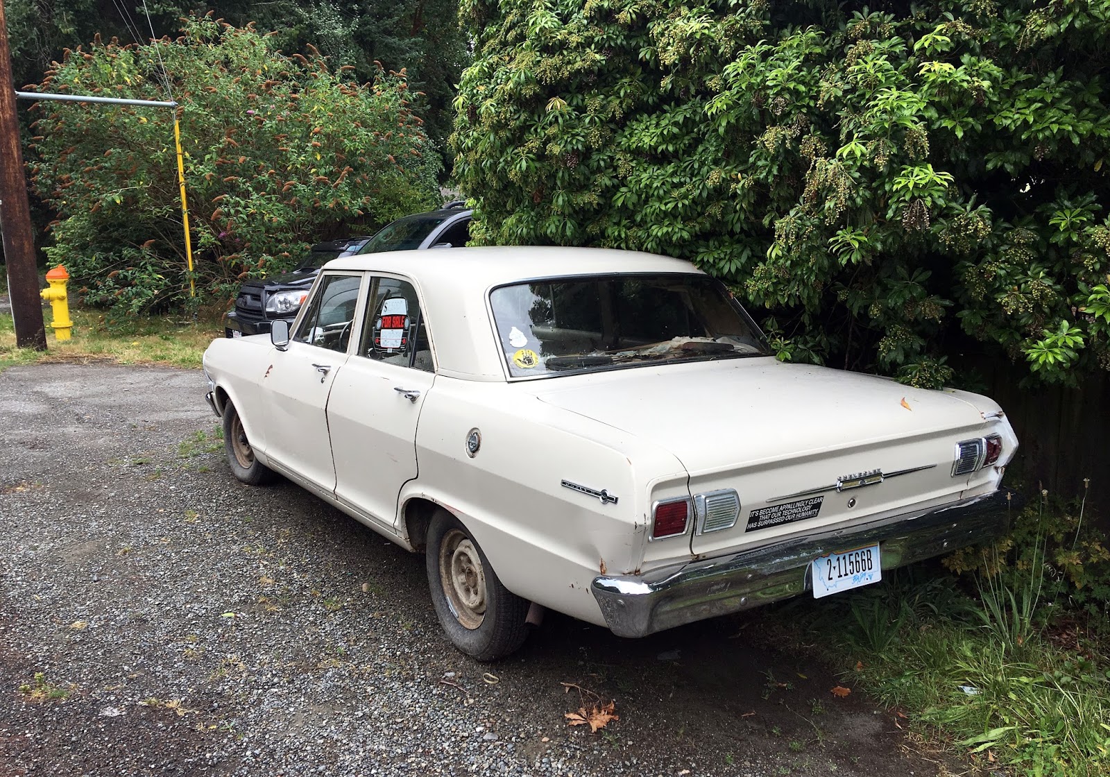 Seattle's Classics: 1965 Chevy II