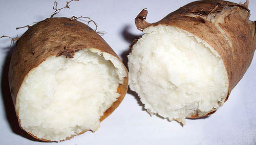 Pin it Like Visit Site