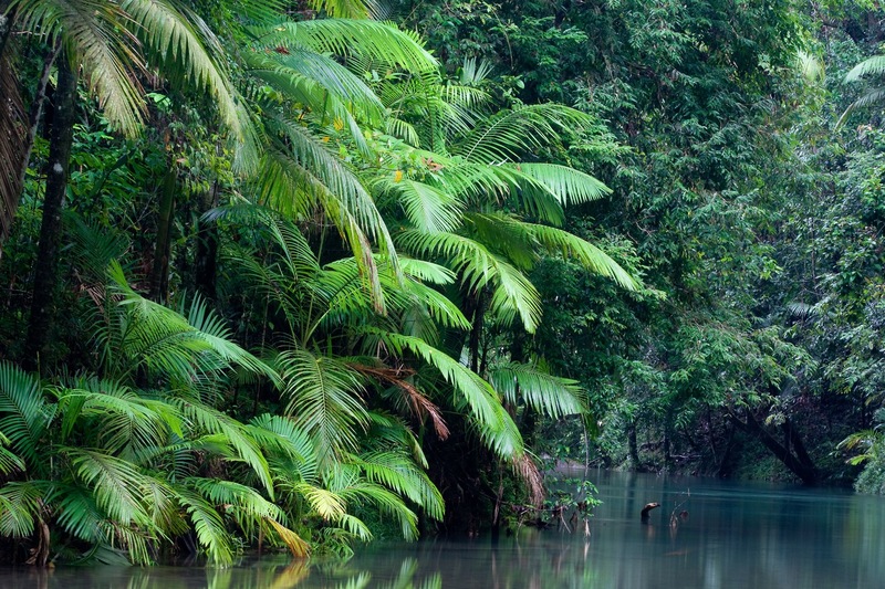 Wet Tropics of Queensland | Exploration Exploration
