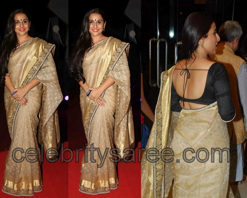 Vidya Balan In Saree Back