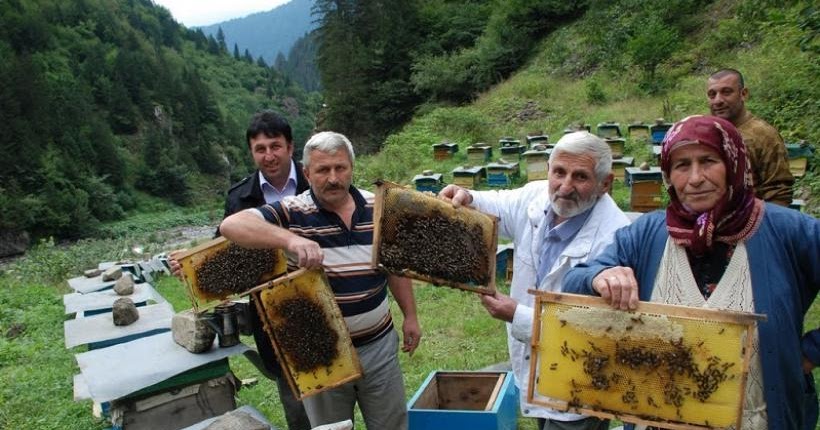 ΤΟ ΠΙΟ ΑΚΡΙΒΟ ΚΑΙ ΣΠΑΝΙΟ ΜΕΛΙ ΤΟΥ ΚΟΣΜΟΥ ΒΓΑΙΝΕΙ ΣΤΟΝ ΠΟΝΤΟ - XΡΥΣΟ ...