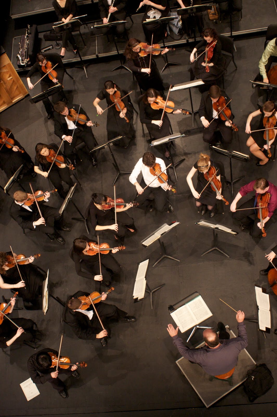 Hillsdale Arts & Style: Bird's Eye View of the Orchestra Concert