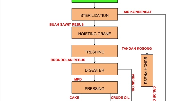 PALM OIL ENGINEERING: Pengolahan Kelapa Sawit