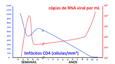 Pharma care: HIV: o que você precisa saber.
