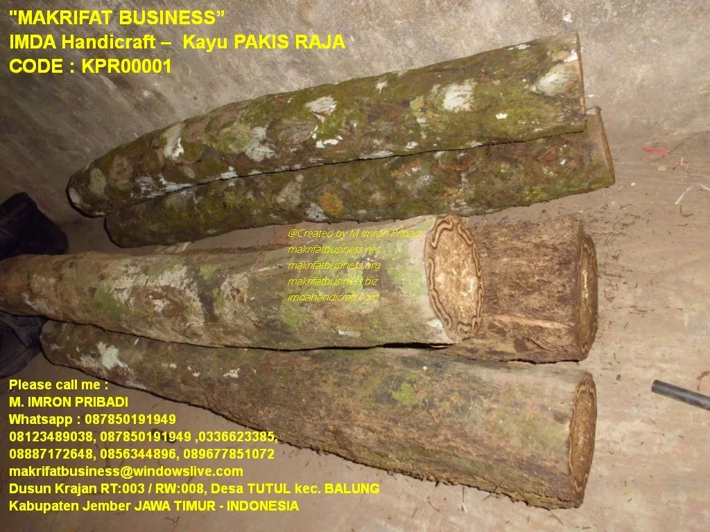 Kayu PAKIS RAJA by: IMDA Handicraft Kerajinan Khas Desa TUTUL Jember ...