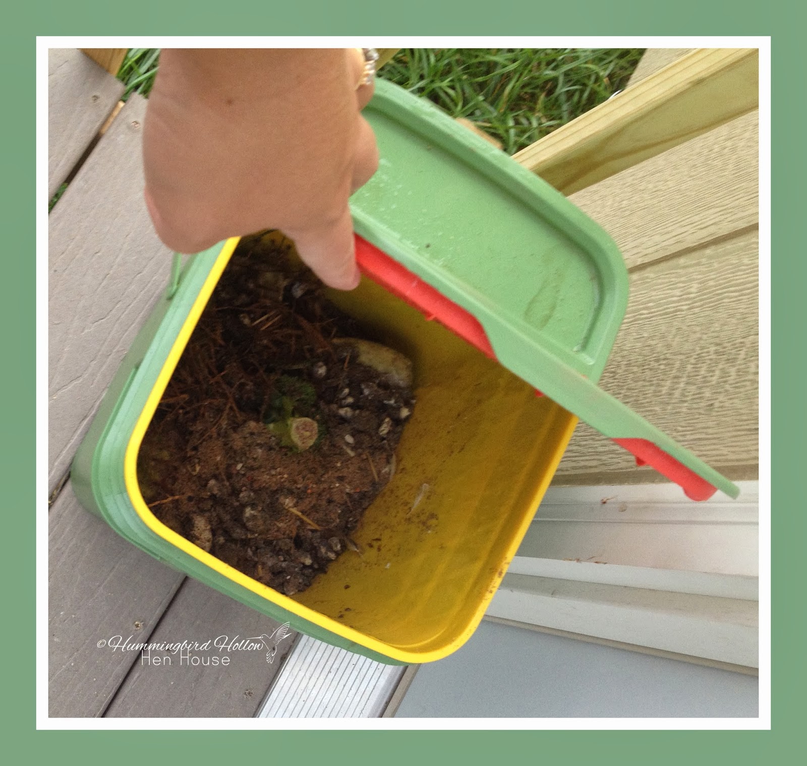 Hummingbird Hollow Hen House: The Poop Board