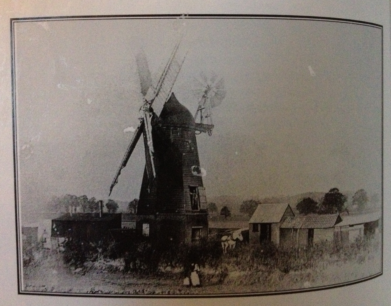 Me and my shadow: Local history tour for kids