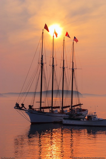 20 Awesome Photographs of Boats