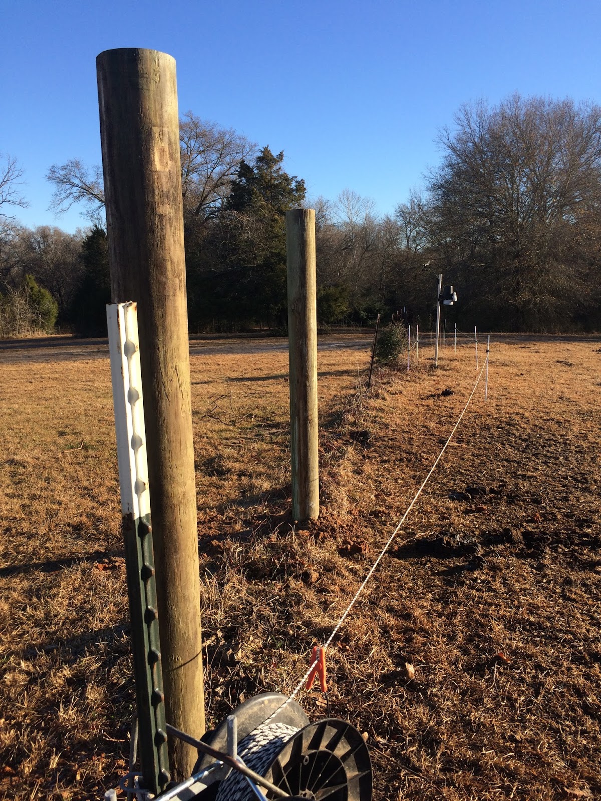We Love Texas: Cross Fencing