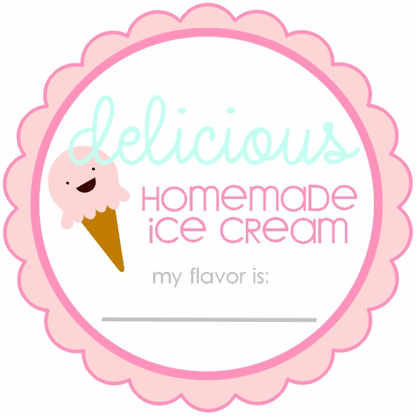 Sassy Sites!: we all scream for {homemade} ice cream!