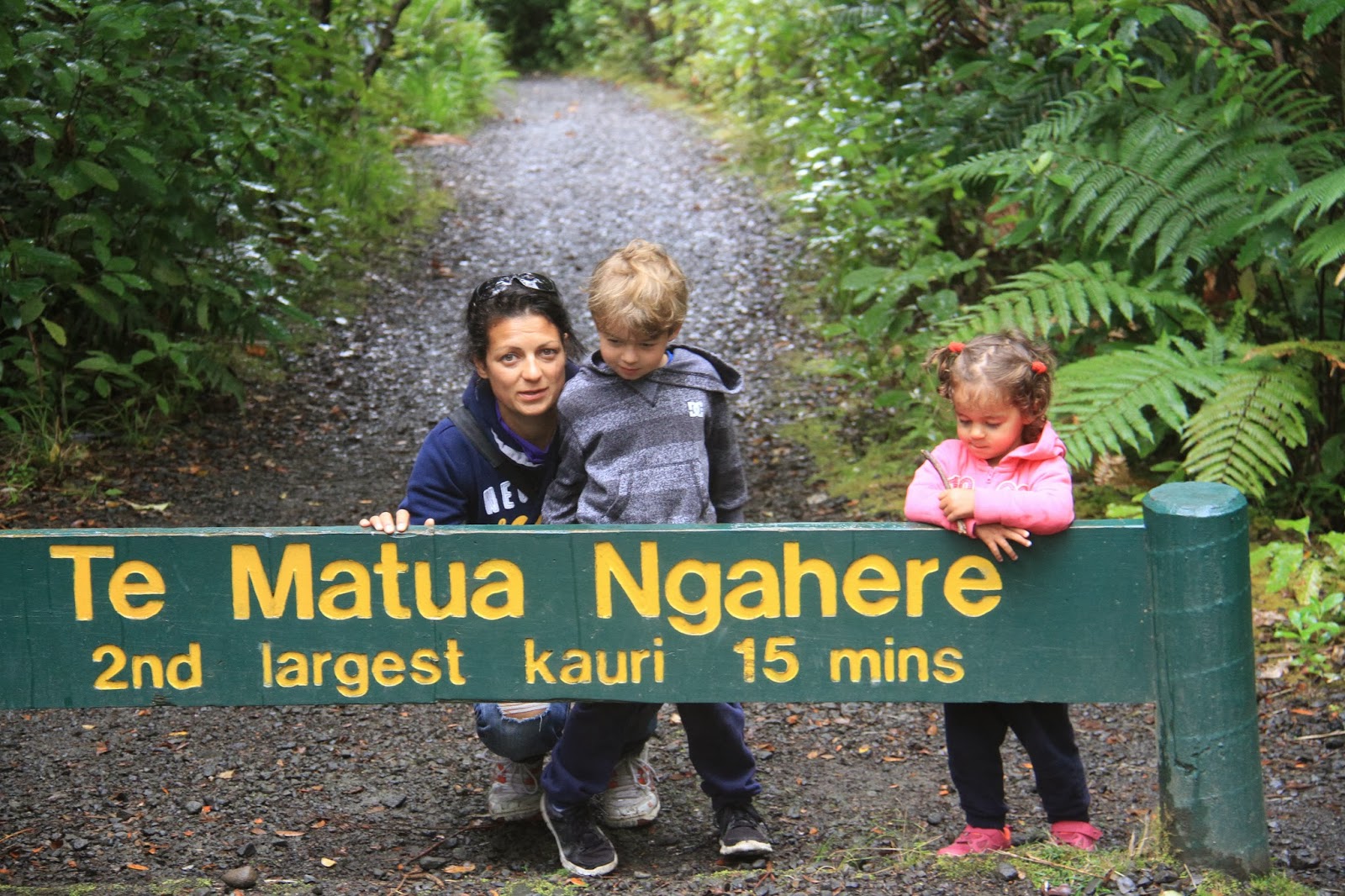 Weltreise 2014: Tane Mahuta & Te Matua Ngahere, 3rd of March 2014