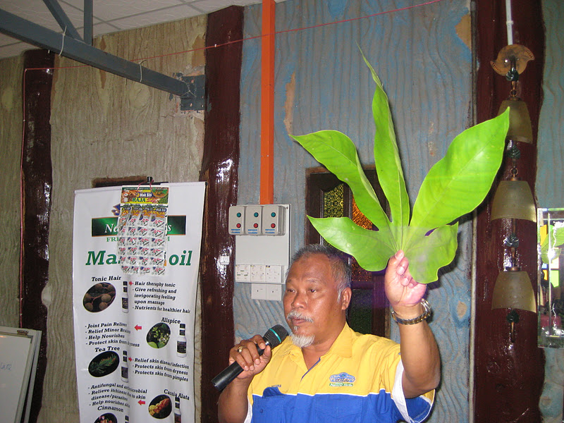 aku suka jalan: Taman Herba Nasuha