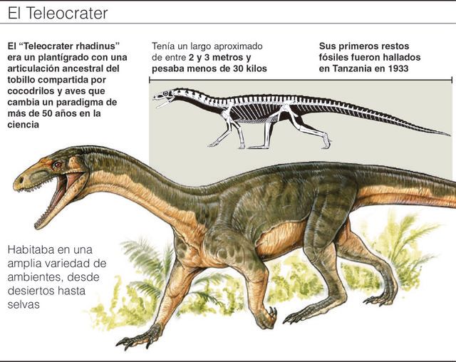 Fundacion Dinosaurios Cyl: Presentan en La Plata al “eslabón perdido ...