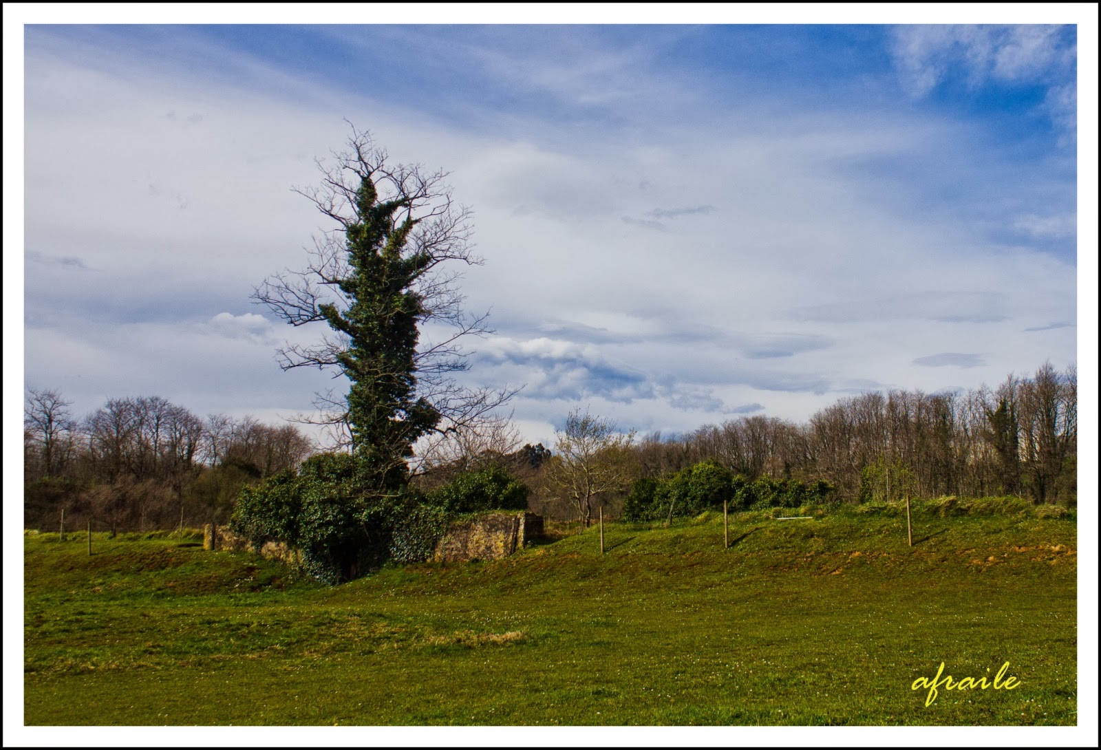 Foto afraile: Guarnizo (El Astillero).