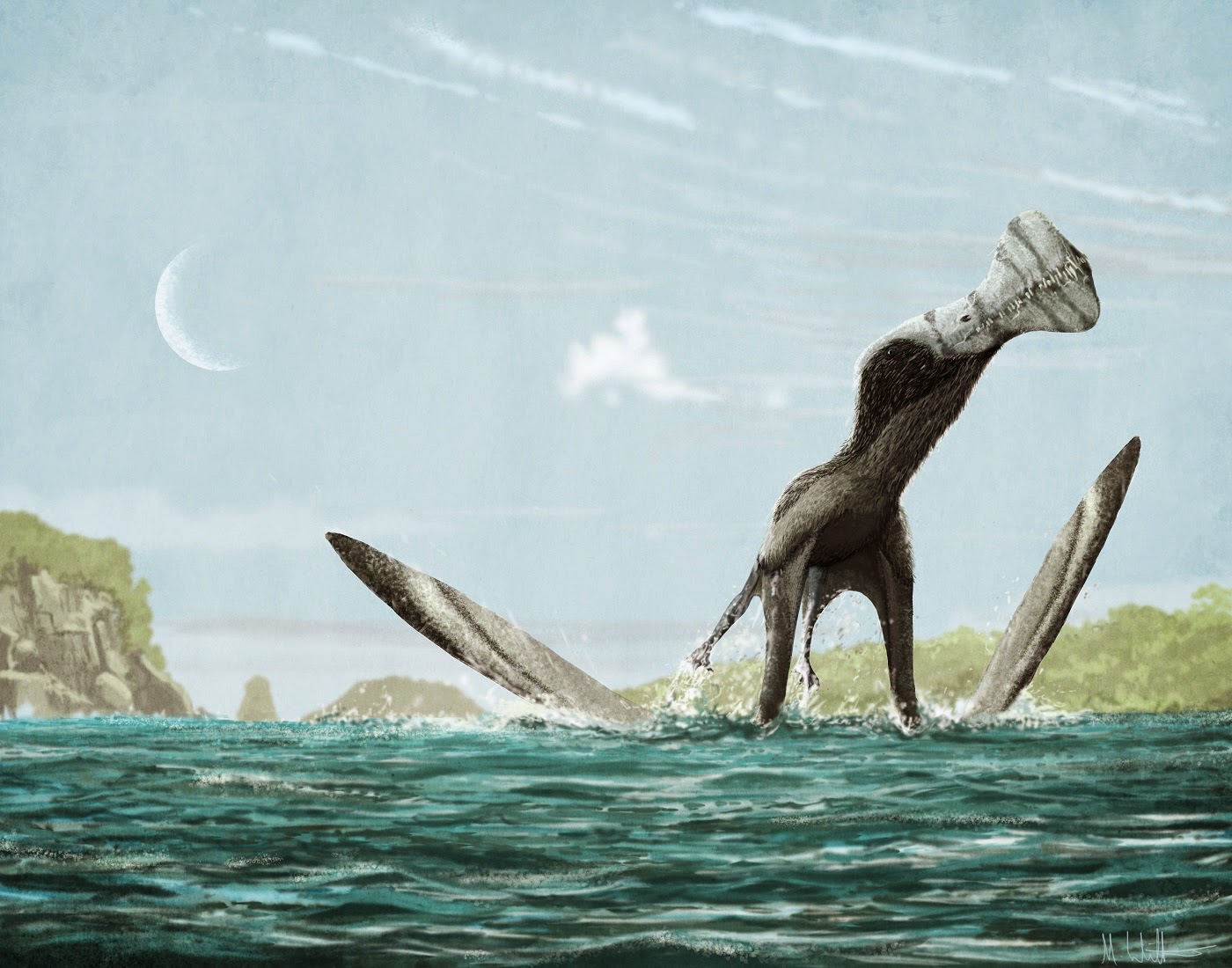 Tetrapod Flight: Pretty pycnofibres, wondrous wings and amazing air sacs