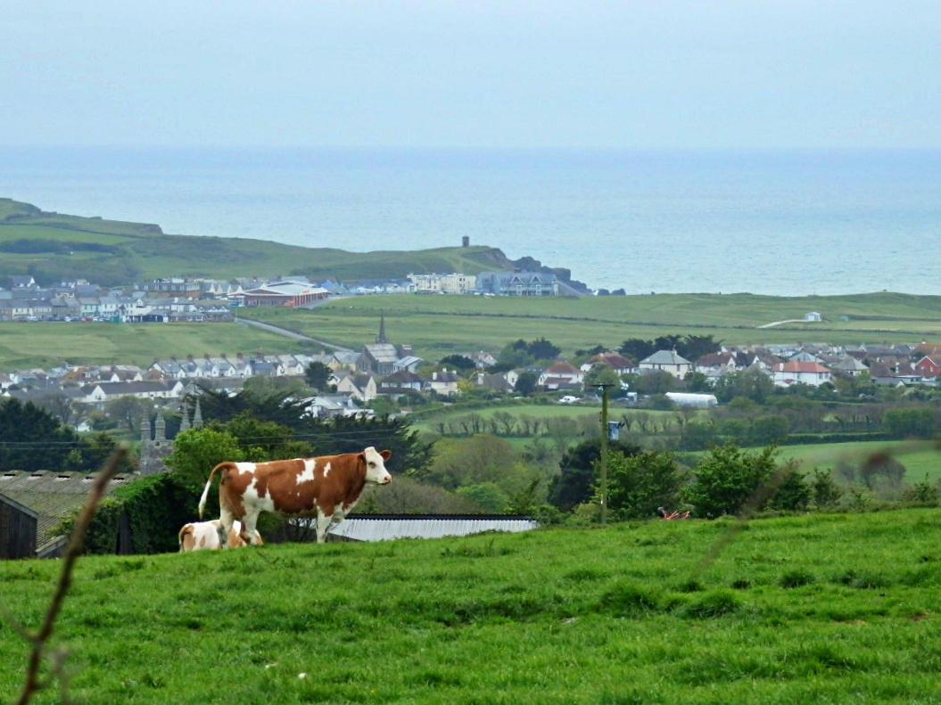 Mike's Cornwall: Cottages, Green Fields, Coastal Views and Farm Animals ...