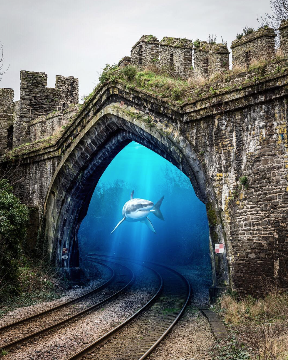 >> James Popsys: Reality With A Splash Of Imagination + Serious ...