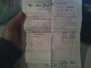 Refugio Zoobrevivientes: RESCATE DE "BARBINCHO" 11 DE AGOSTO 2012