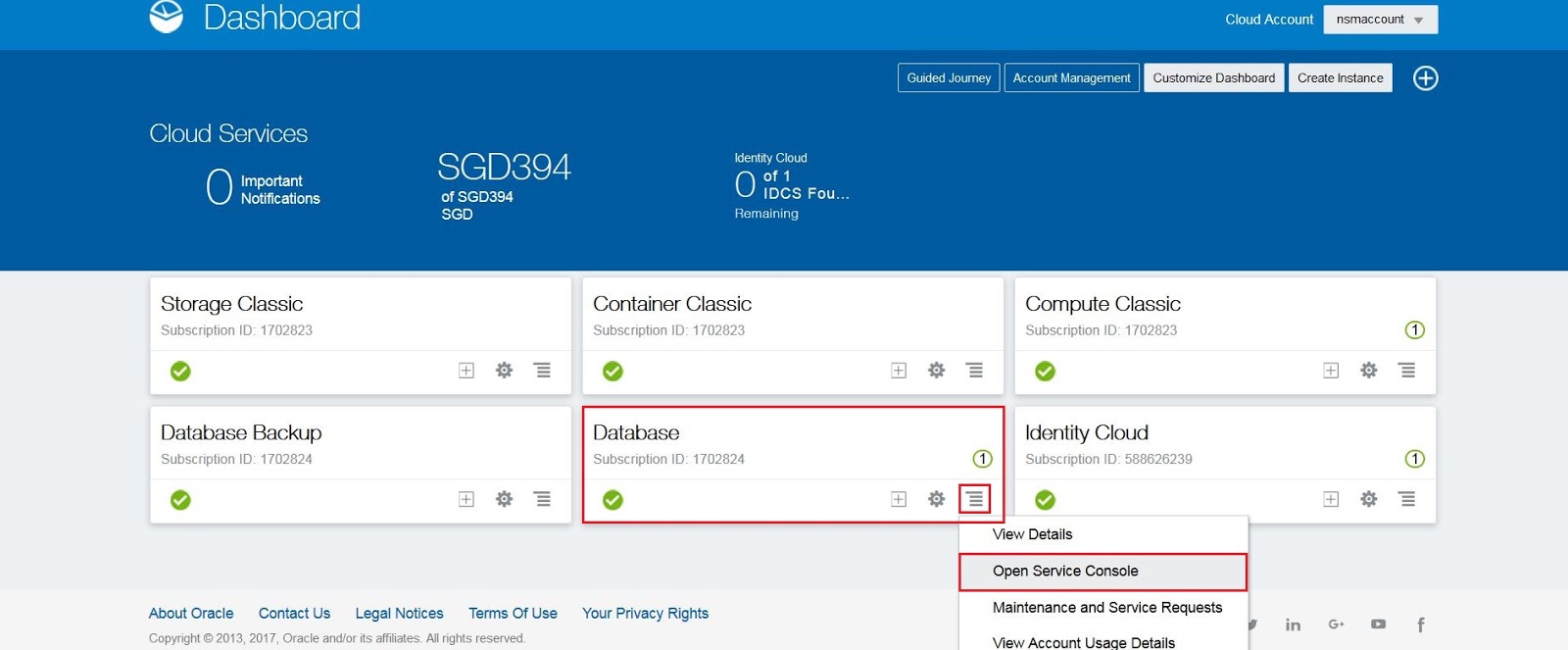 Netsoftmate Technical Blog : Oracle DBCS : Create Virtual Image Database Deployment - Part 1