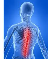 ARMONIA POSTURALE: LA DORSALGIA