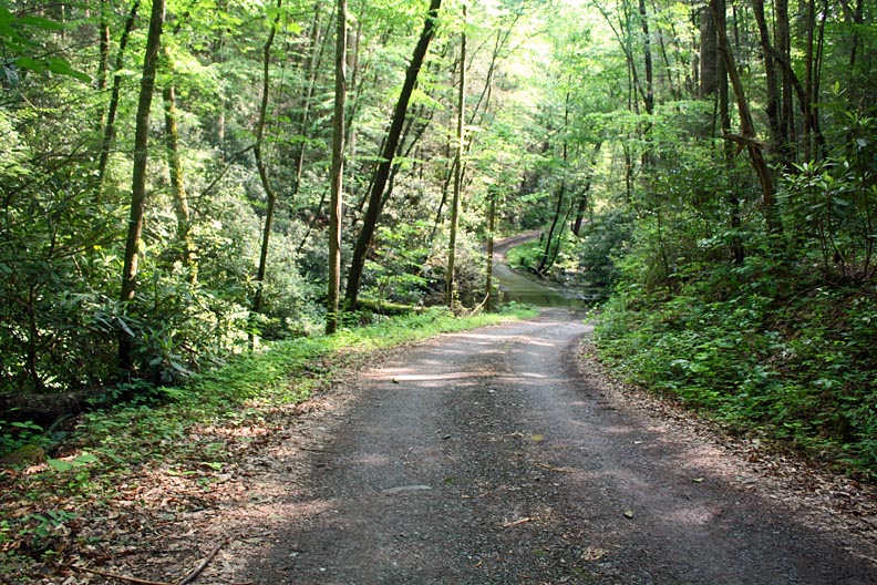 JOYFUL REFLECTIONS: Parson Branch Road in the Smokies--Part I