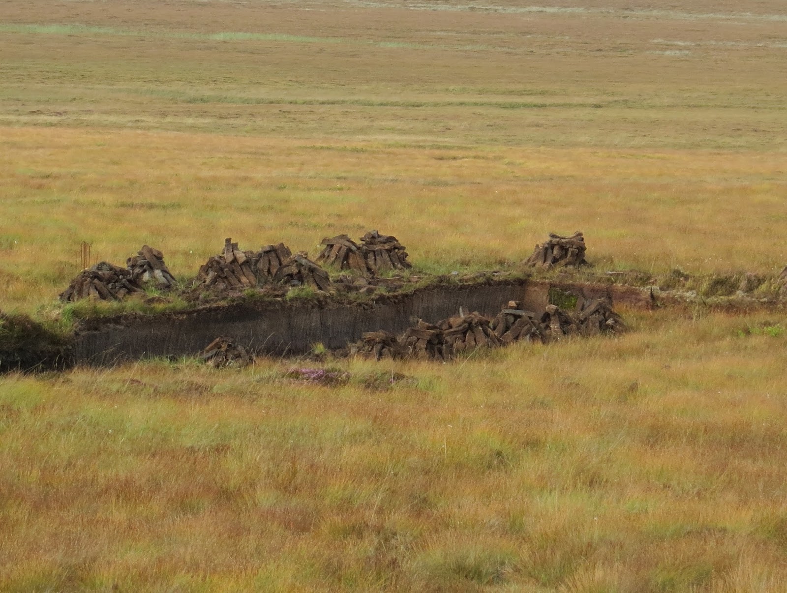 The Faery Folklorist: The Trows of Orkney and Shetland