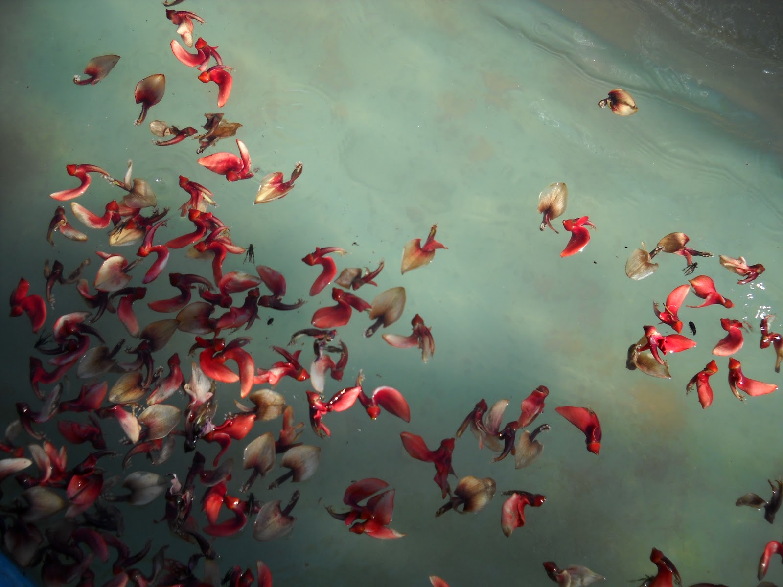 lamiradadeana: Ese instante fecundo...