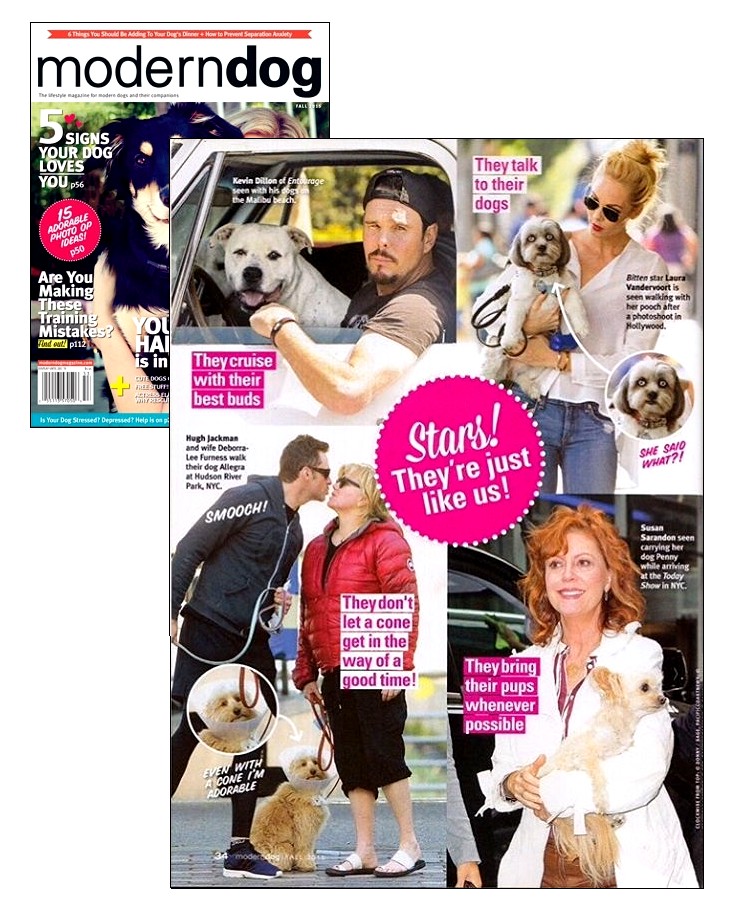 Laura Vandervoort: Laura Vandervoort in Modern Dog Magazine Fall 2015 Issue