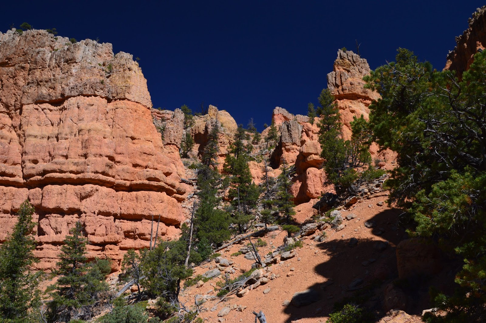 Da Road Trip: Red Canyon, Utah