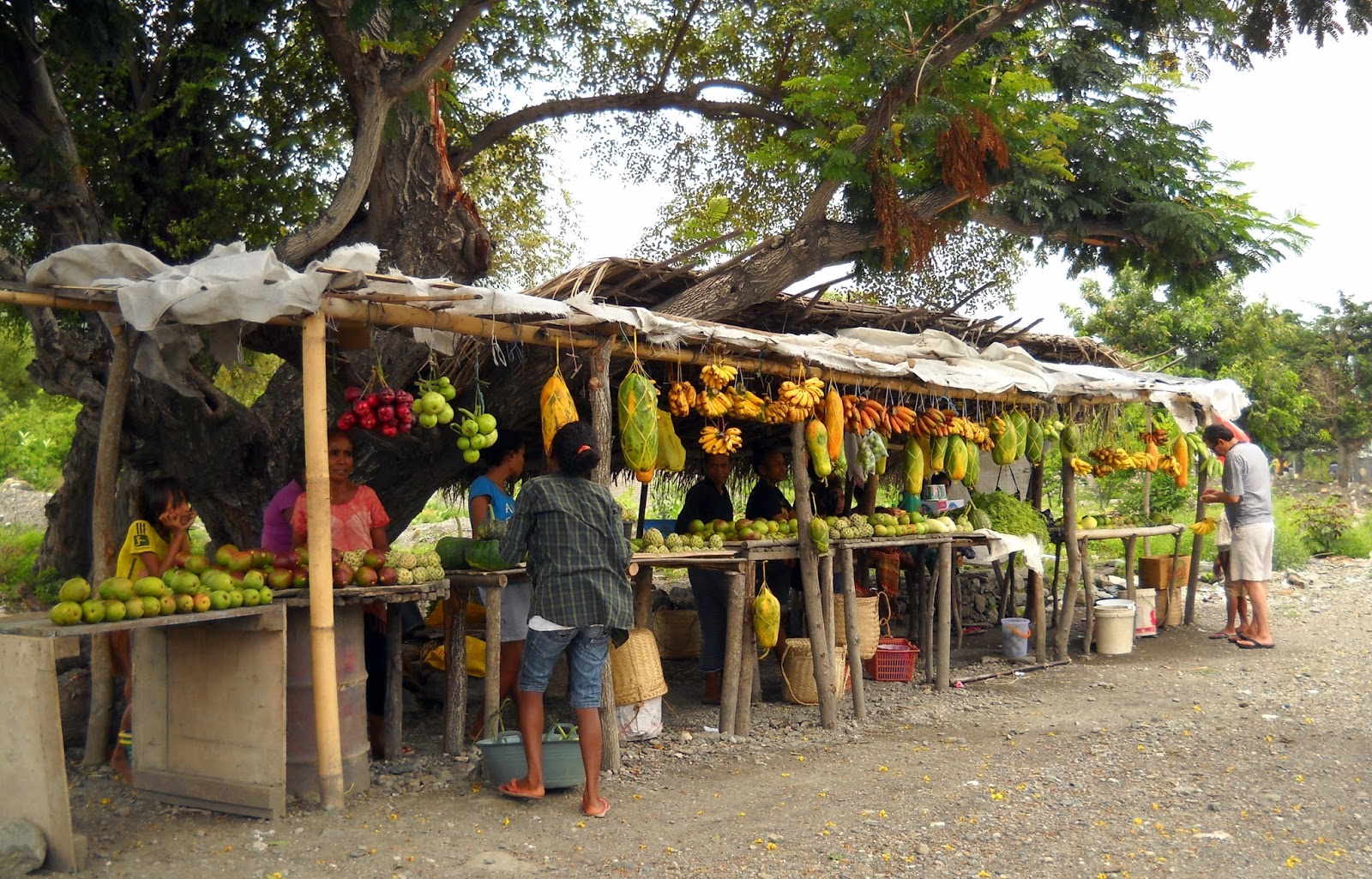 RECOMEÇO...: TIMOR LOROSAE (TIMOR-LESTE), HOJE...
