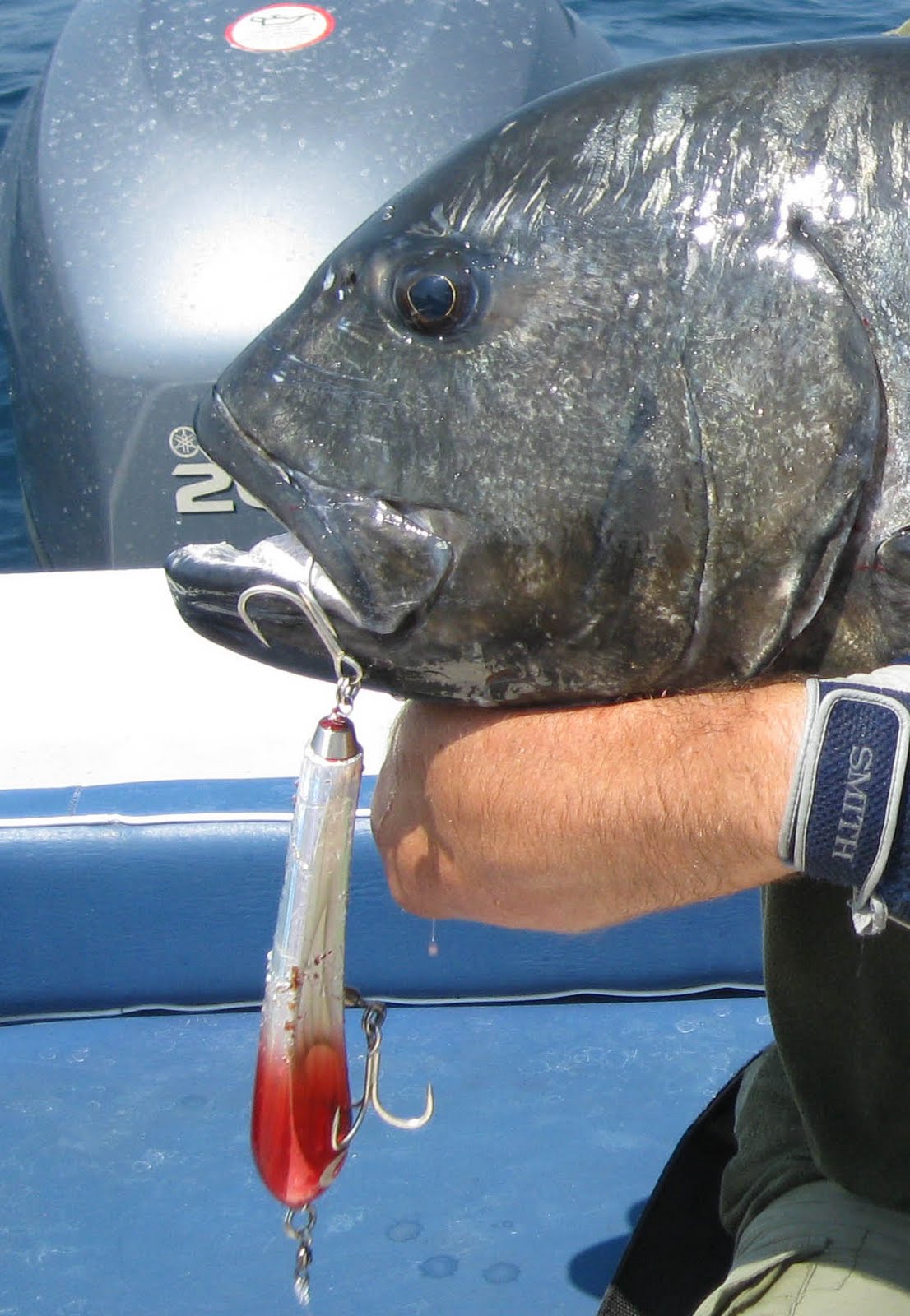 Bali Fishing: Adhek Penipen - a superb stickbait