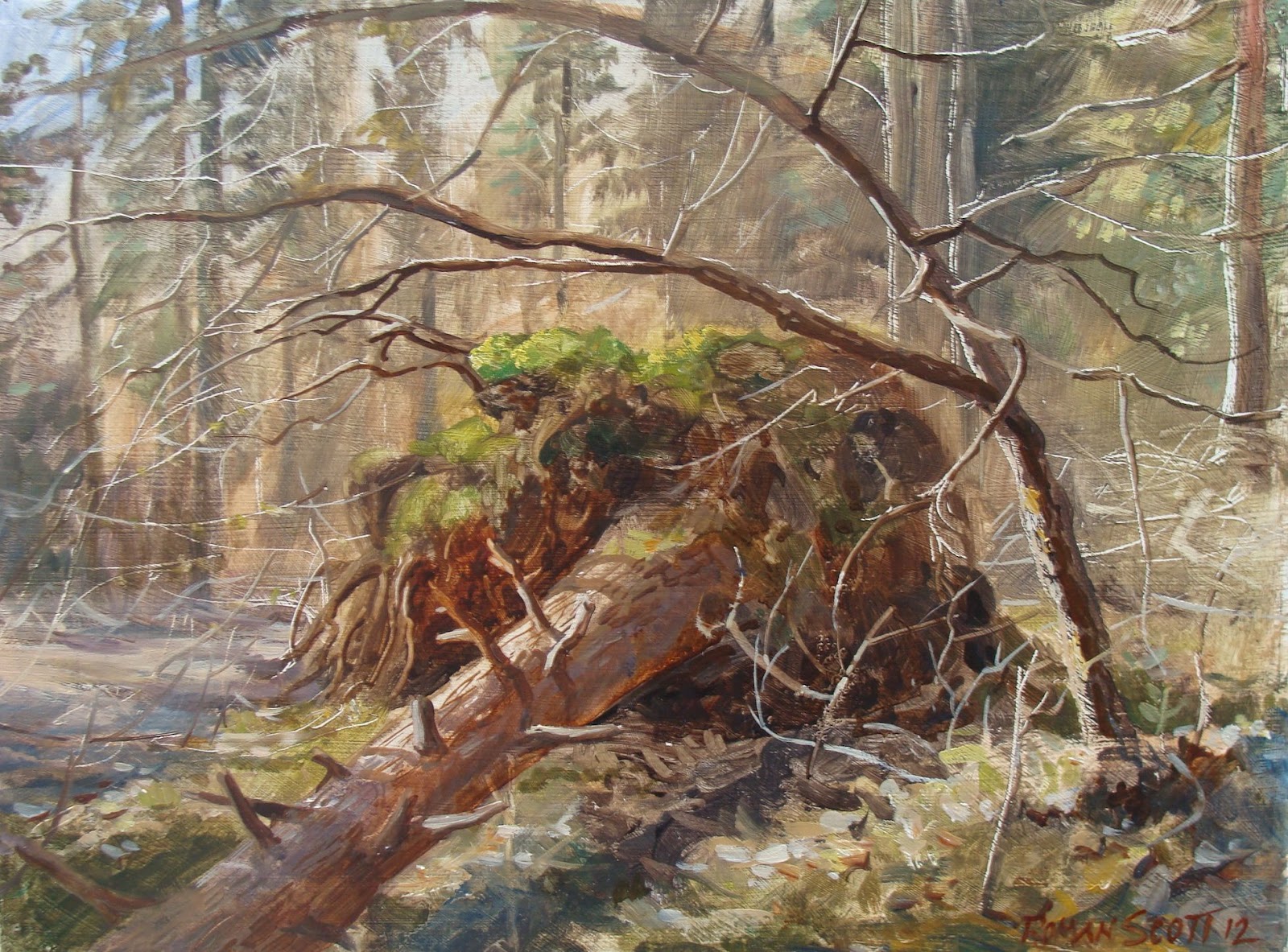 RomanScottArt: Recent Norway Paintings