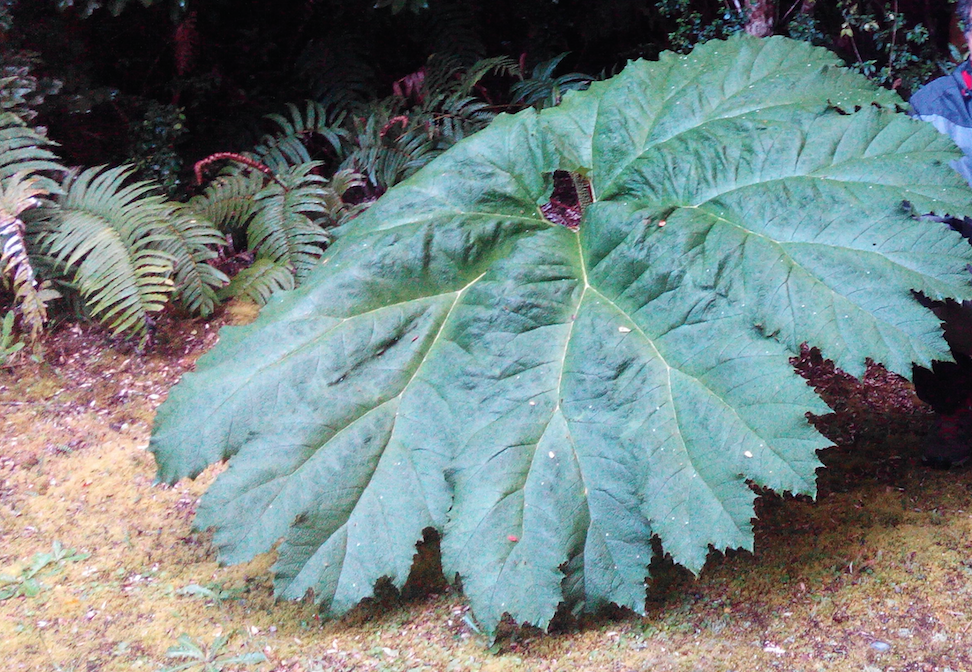 Curioseandando: abril 2018